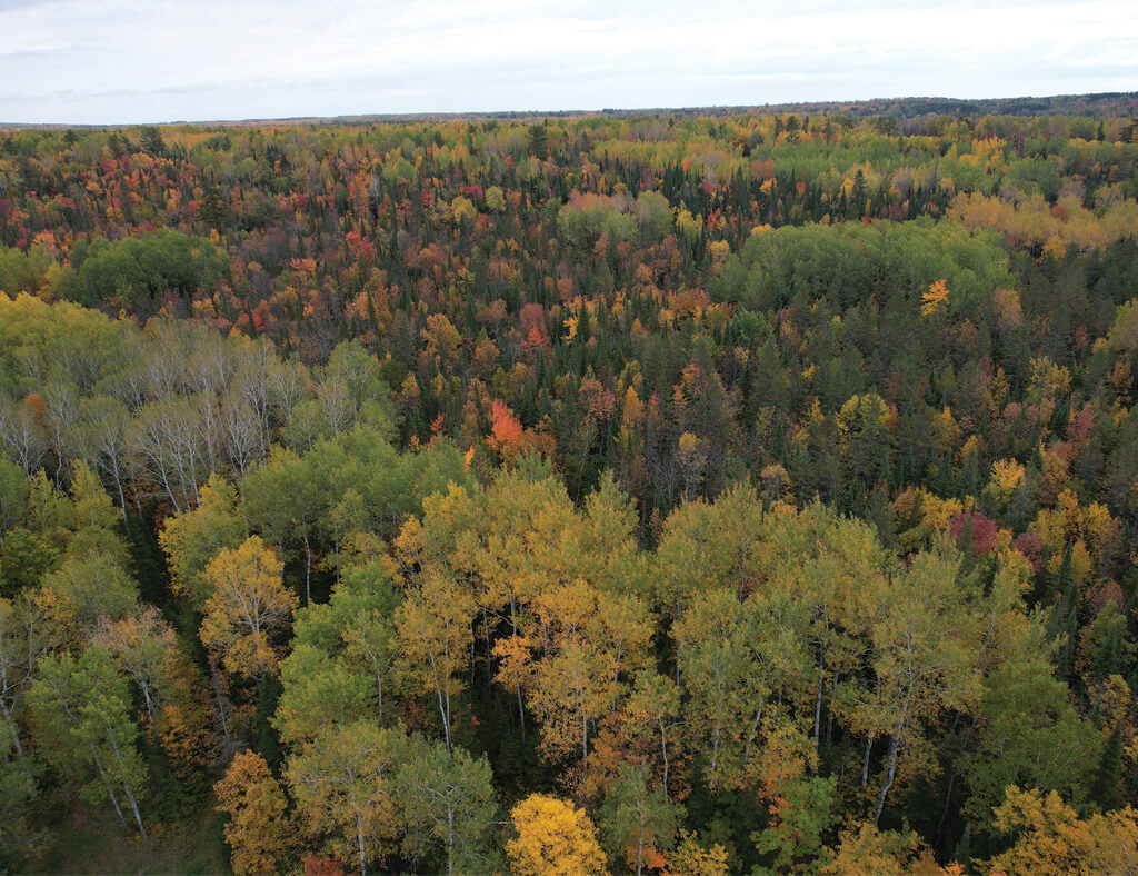 UltraDeck | Why UltraDeck?